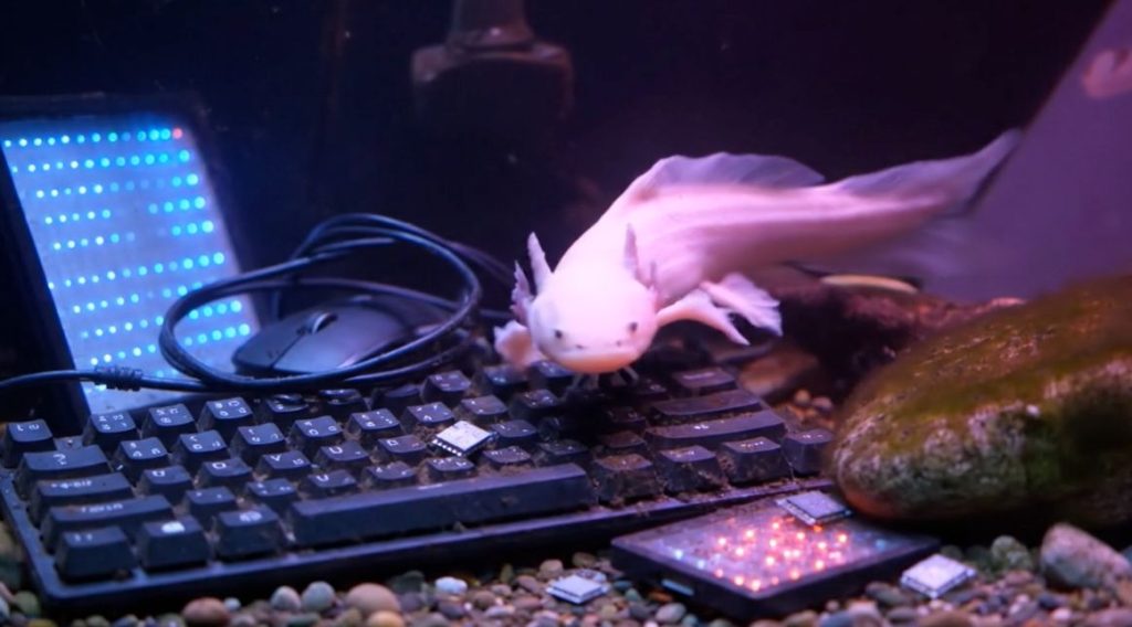 Cuerpos de agua: La ciudad de México en el futuro – Zona Zero News